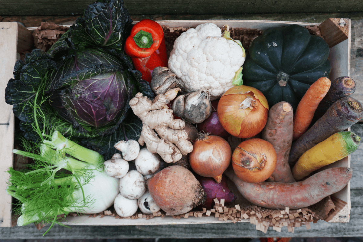 Organic Veg Box | ernieouseburn